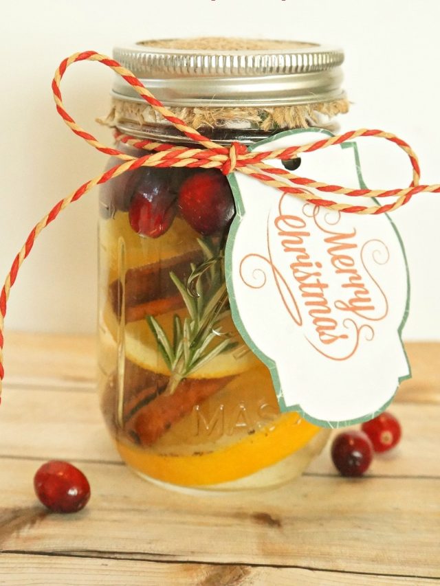 8 Holiday Gifts In A Jar Ideas For Christmas Honey Lime 8 Holiday Gifts In A Jar Ideas For Christmas Honey Lime