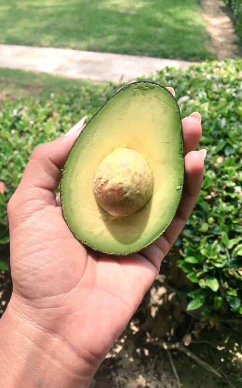 5 Tasty and Unique Recipes Using Avocados - More Than Guacamole!