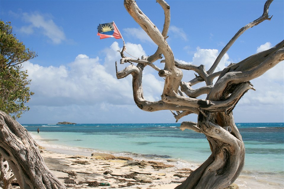 12 Photos of Antigua Beaches In The Caribbean, Your Next Vacation Spot!